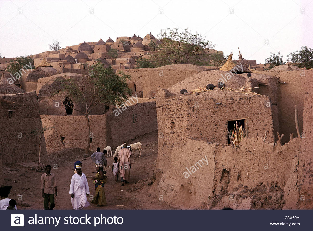 Bouza Stock Photos & Bouza Stock Images - Alamy