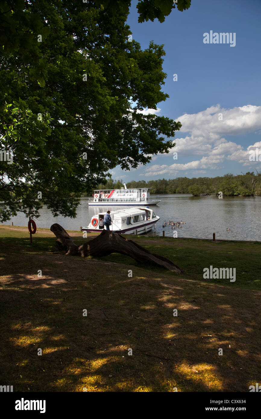 Salhouse Broad Norfolk Broads River Bure Stock Photo - Alamy