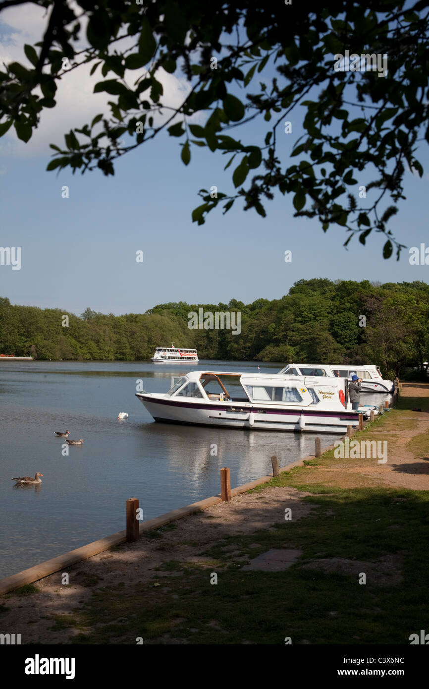 Salhouse Broad Norfolk Broads River Bure Stock Photo - Alamy