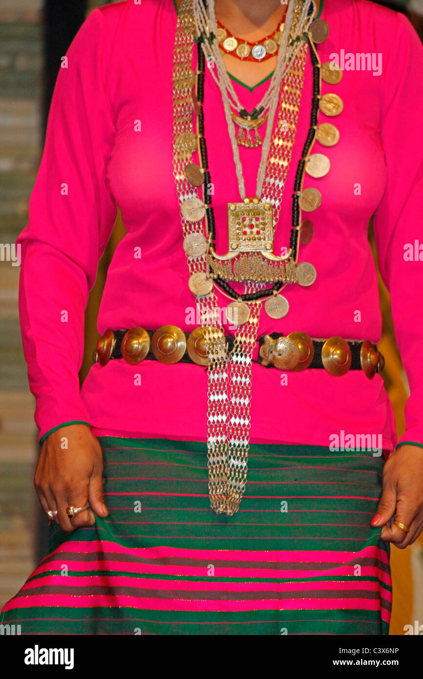 Traditional Dance of Adi tribes during Namdapha Eco Cultural Festival, Miao, Arunachal Pradesh ...
