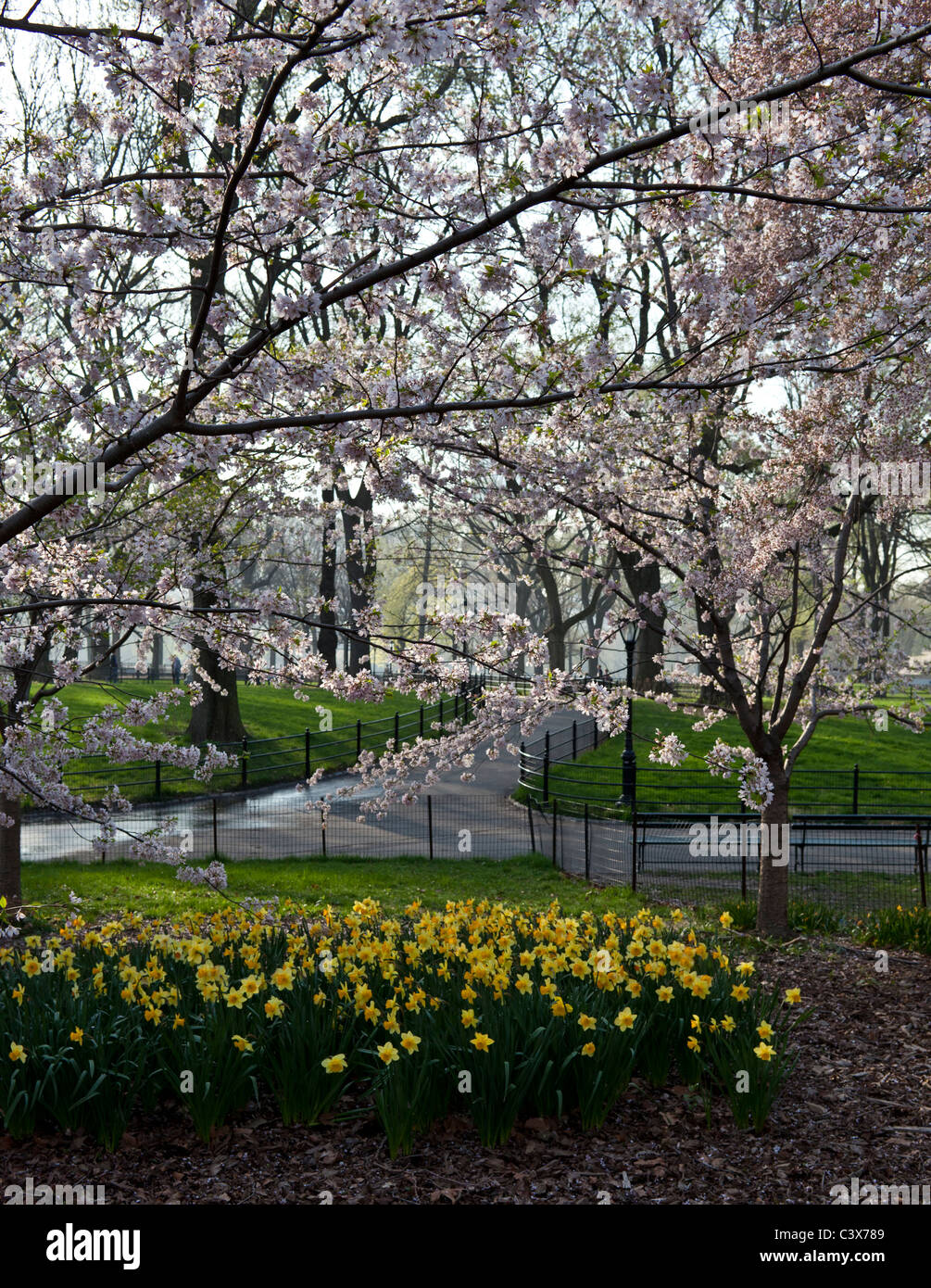 Crab apple trees hi-res stock photography and images - Alamy