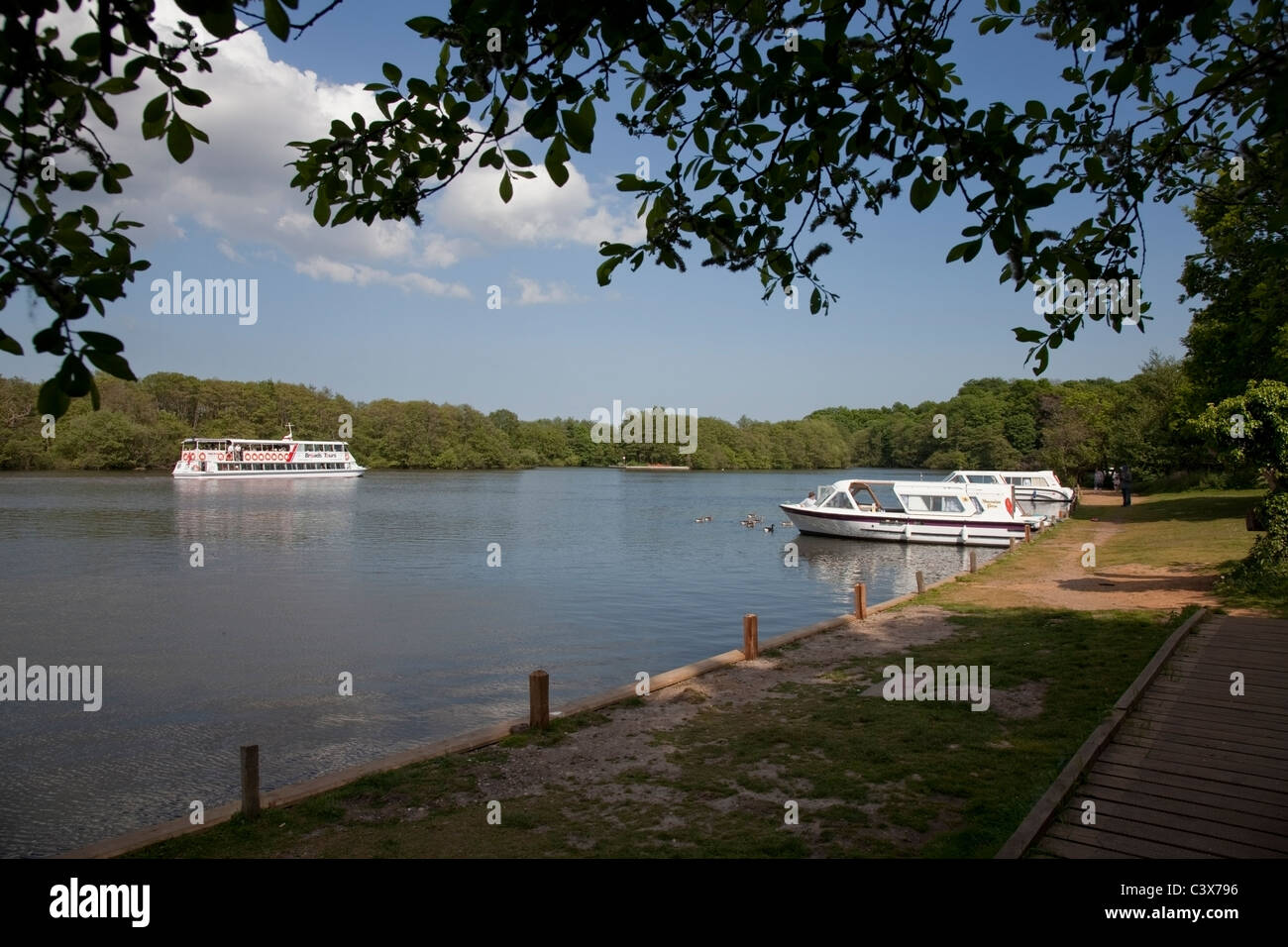 Salhouse Broad Norfolk Broads River Bure Stock Photo - Alamy
