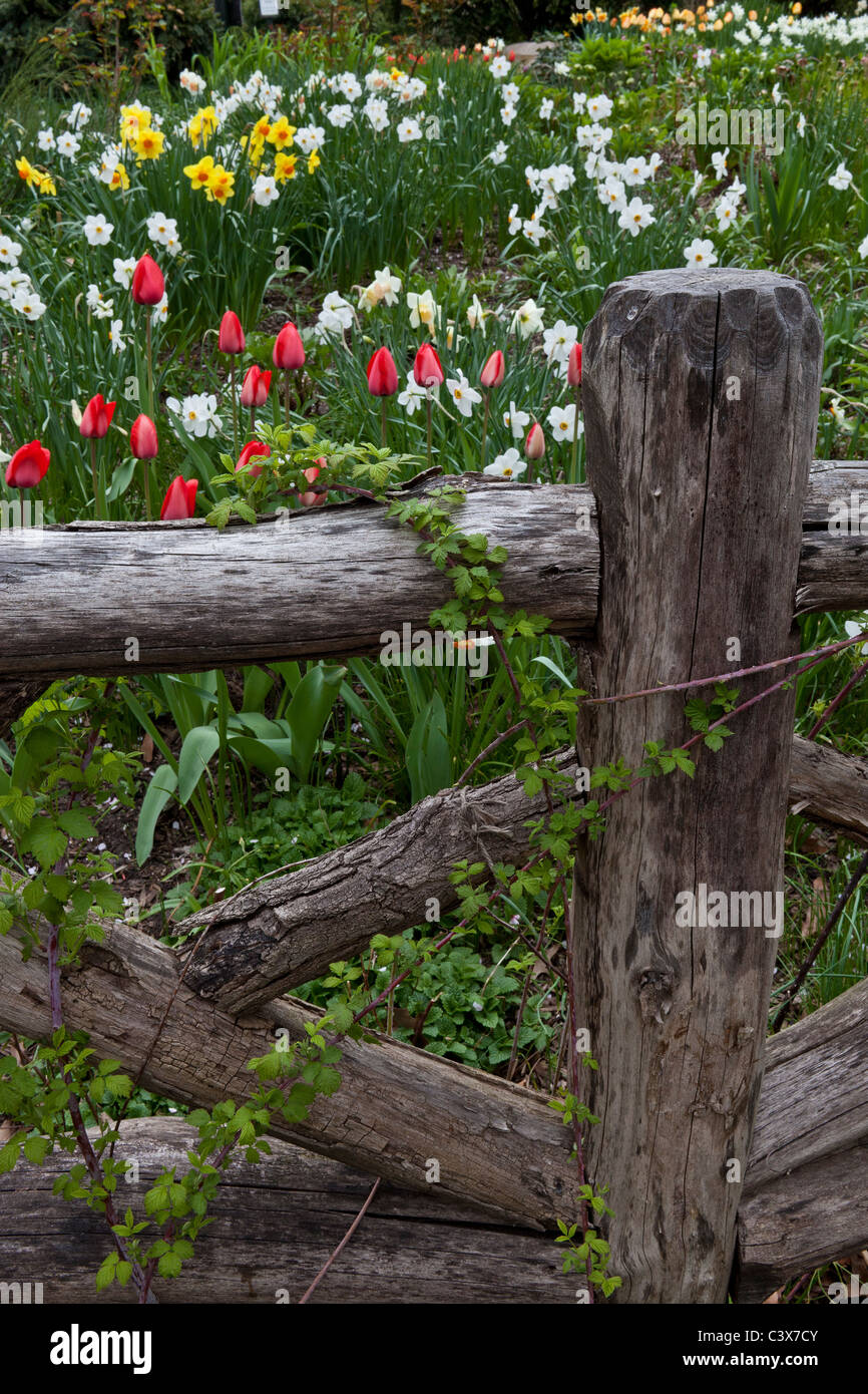 Shakespeare gardens in Central New York City in the spring Stock Photo ...
