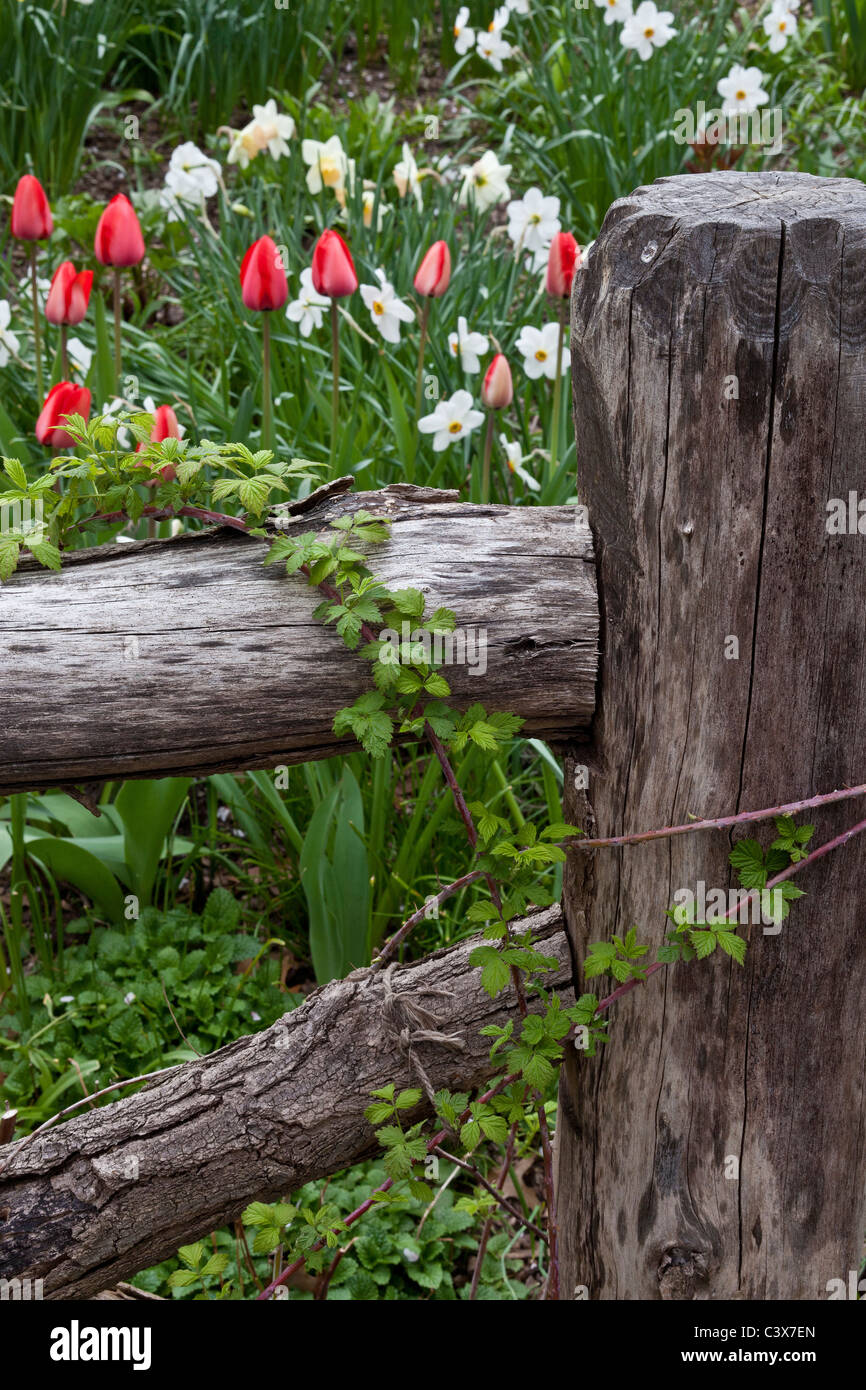 Shakespeare gardens in Central New York City in the spring Stock Photo ...