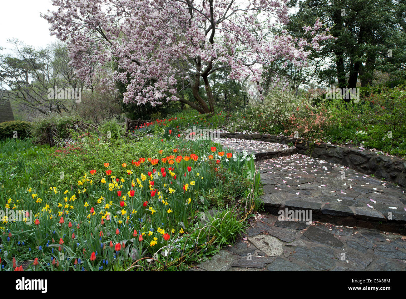 Shakespeare gardens in Central New York City in the spring Stock Photo ...