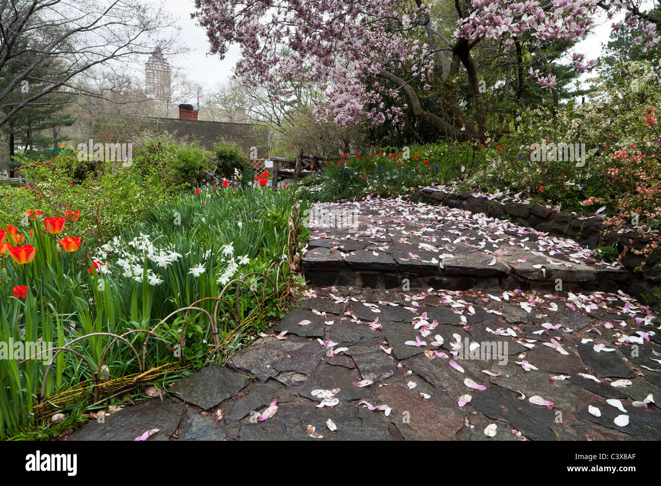 Shakespeare gardens in Central New York City in the spring Stock Photo ...