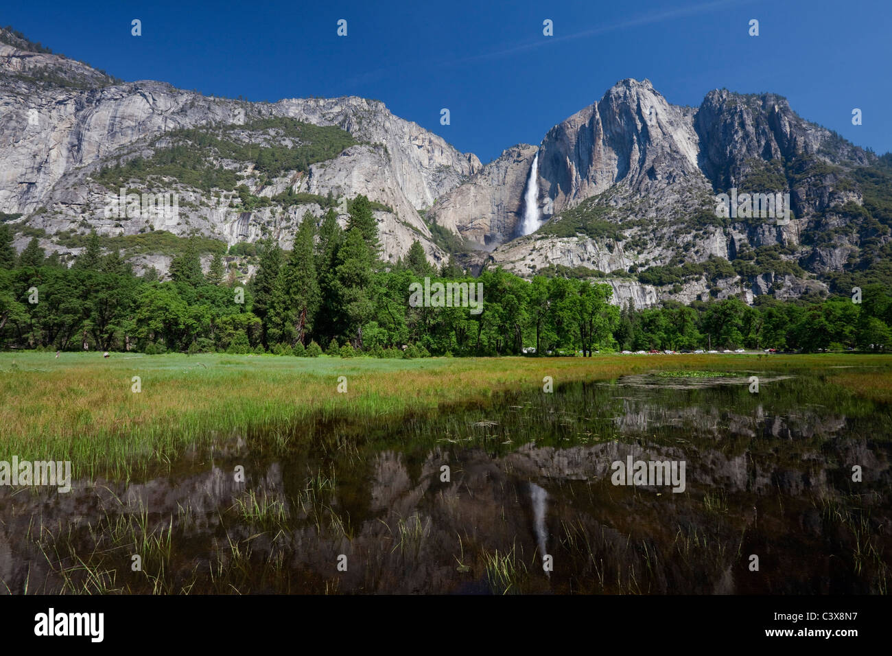 Yosemite rock surface hi-res stock photography and images - Alamy