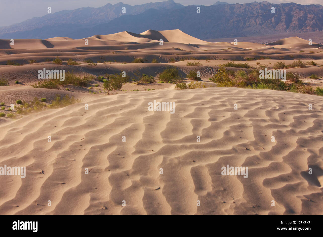 Man made sand dunes hi-res stock photography and images - Alamy