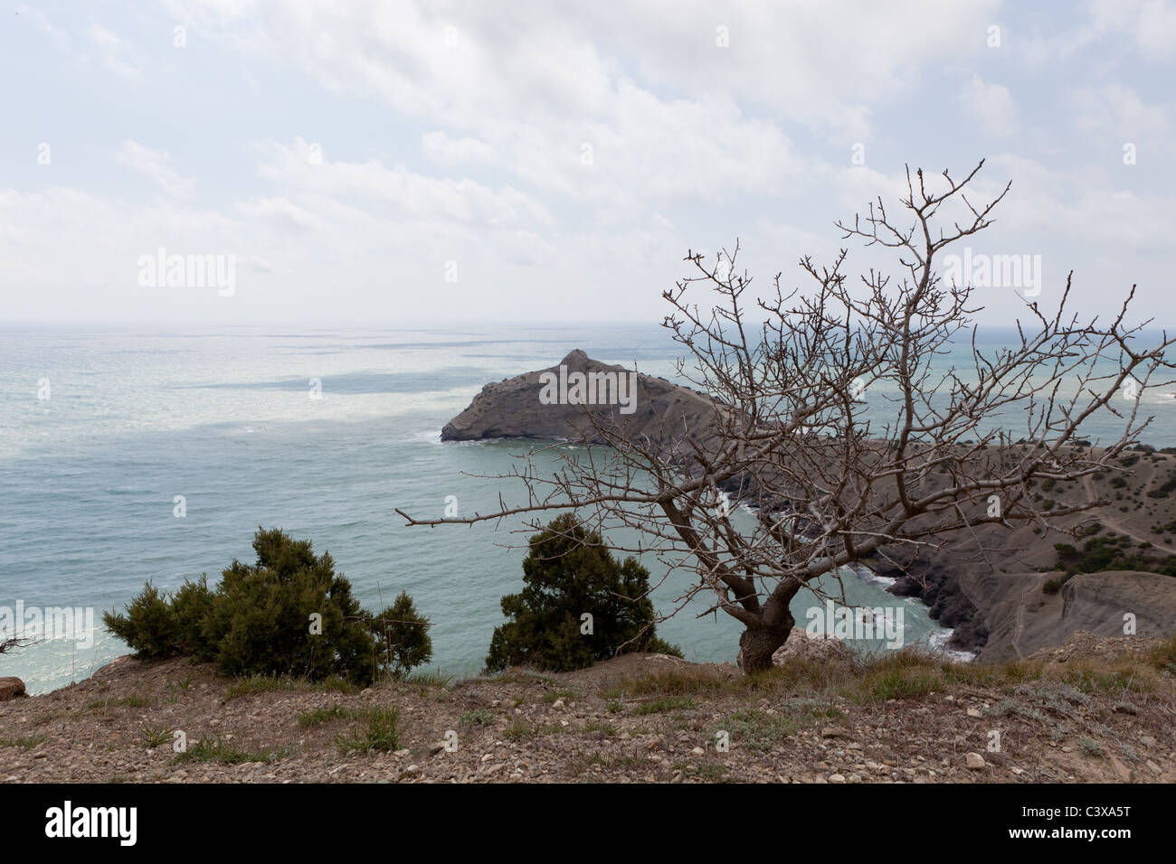Novyi svet hi-res stock photography and images - Alamy