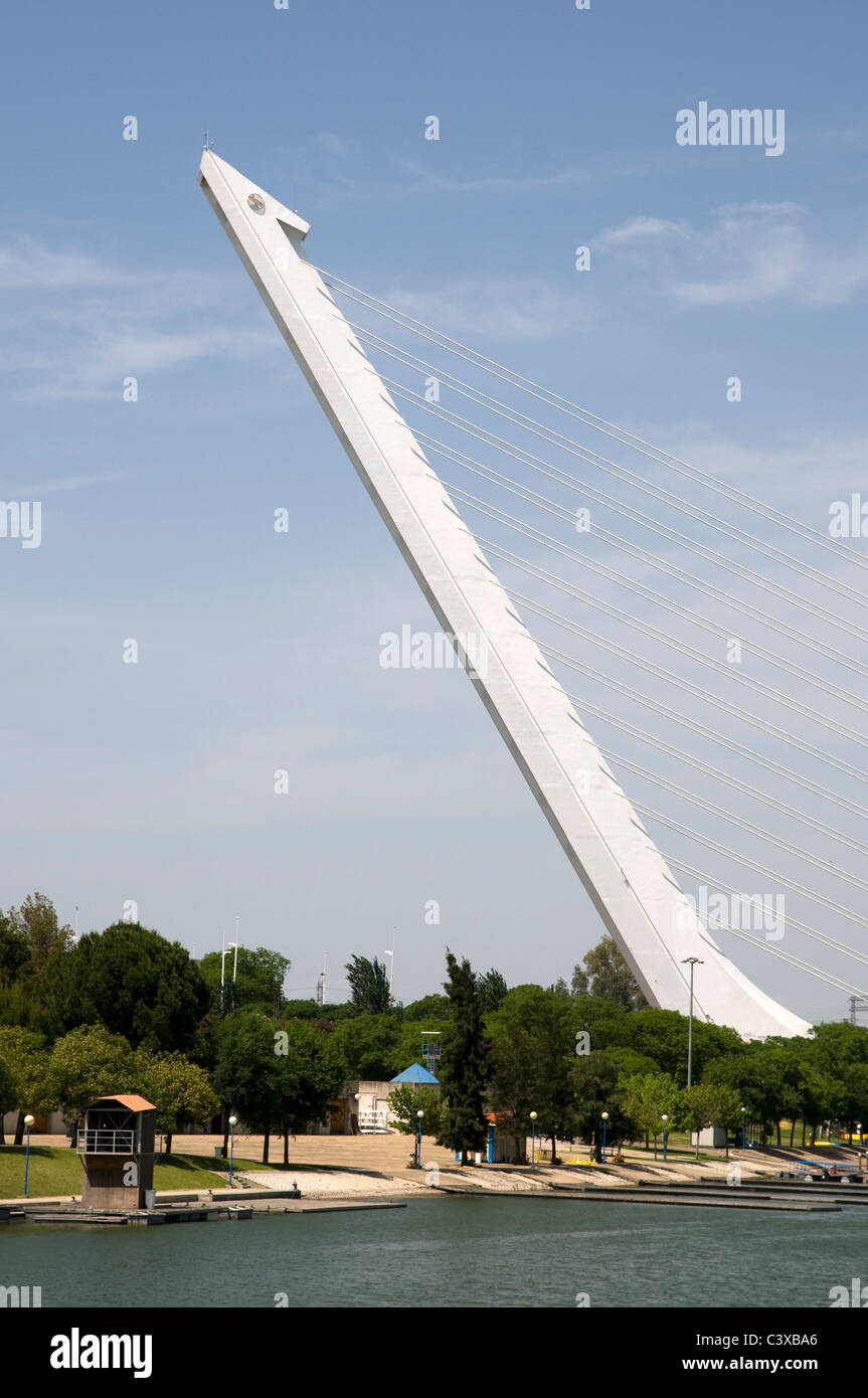 Alamillo Bridge in Seville Stock Photo - Alamy