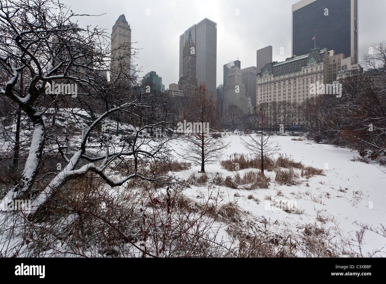 Central park the plaza winter hi-res stock photography and images - Alamy