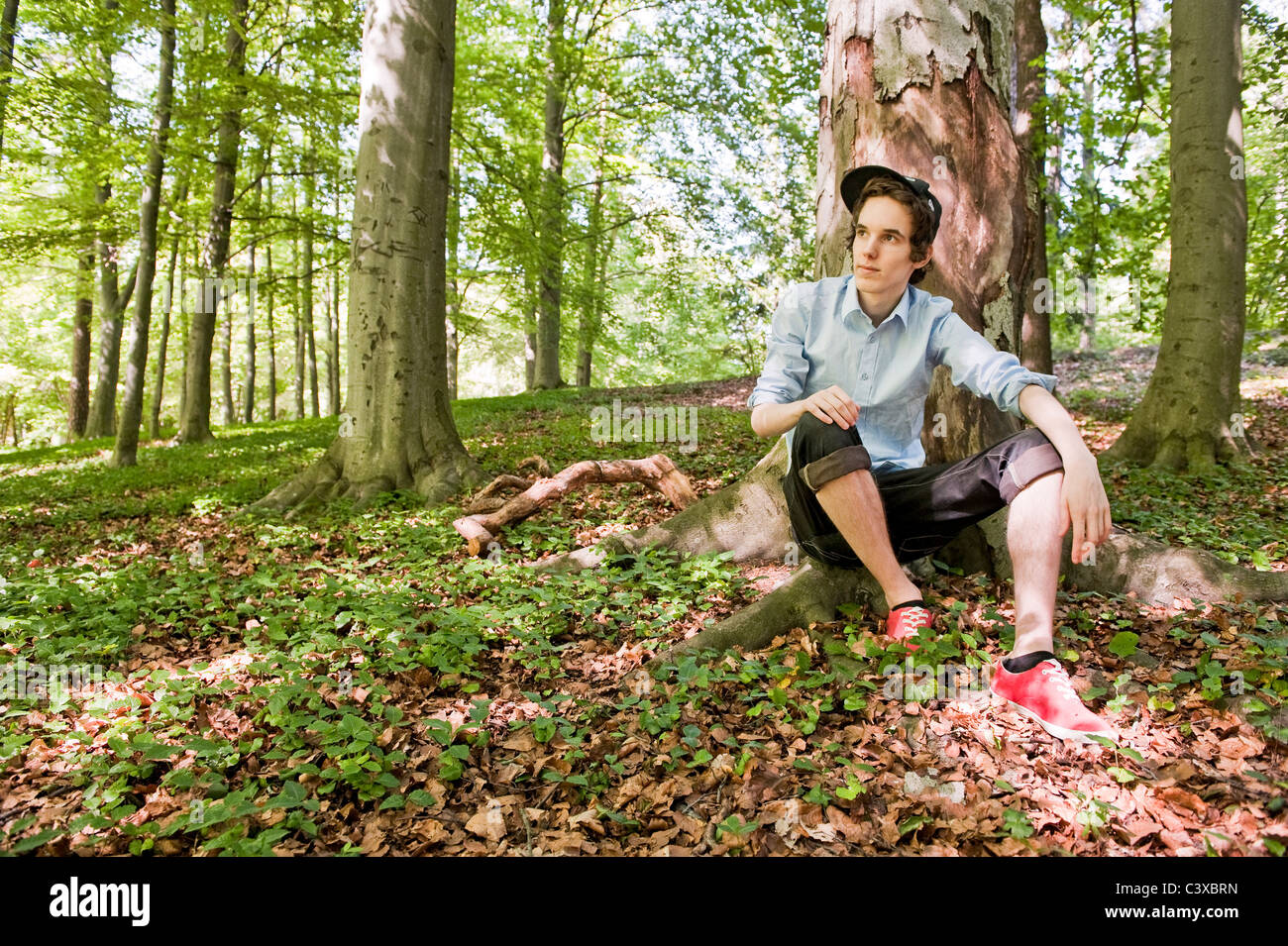 Young man sitting in front of a tree in the woods Stock Photo - Alamy