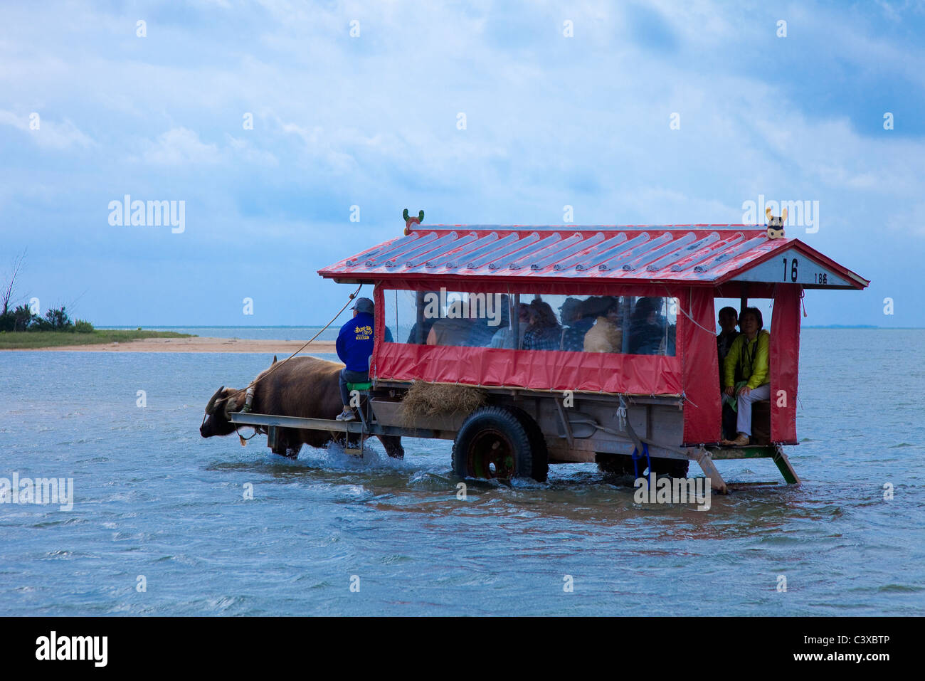 Water buffalo cart hi-res stock photography and images - Alamy