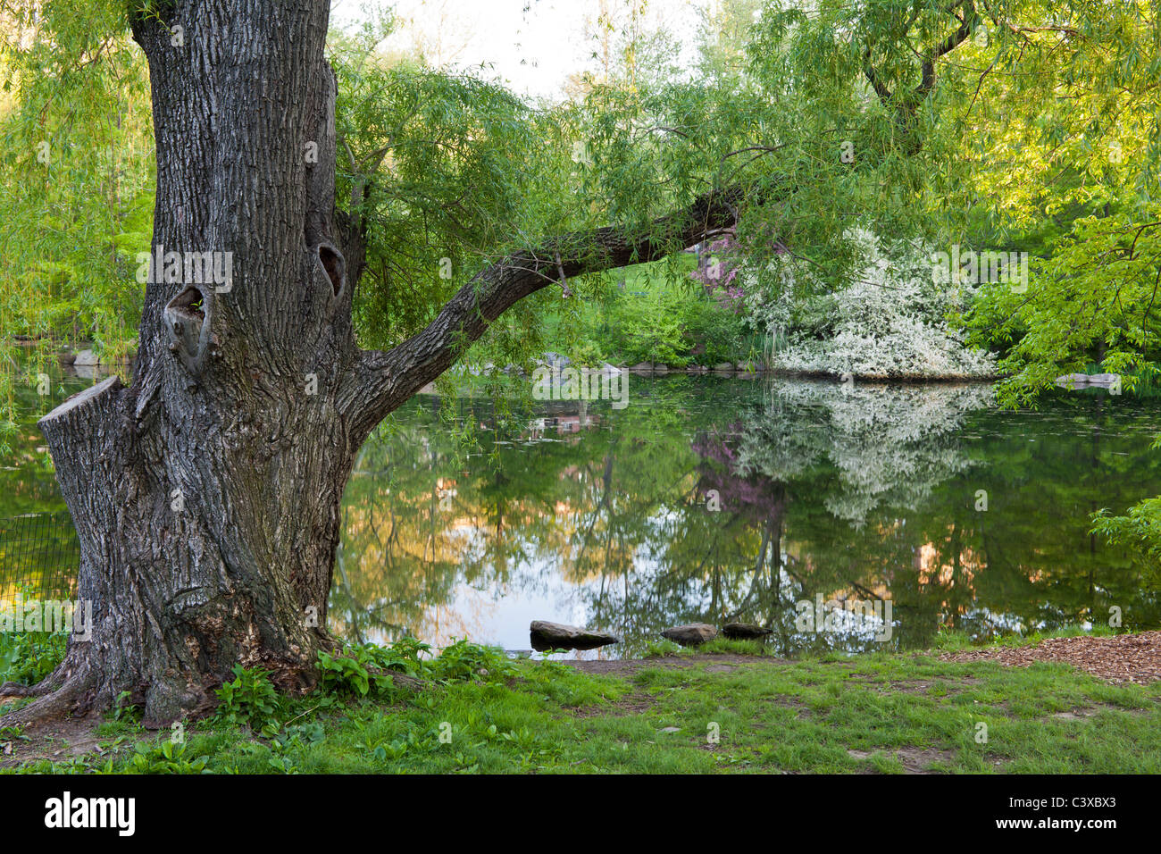 Central Park, New York City early morning scene Stock Photo - Alamy