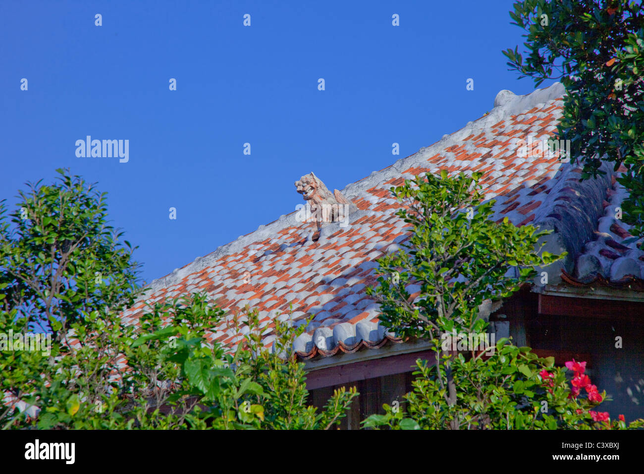 Shiisa on Roof Stock Photo - Alamy