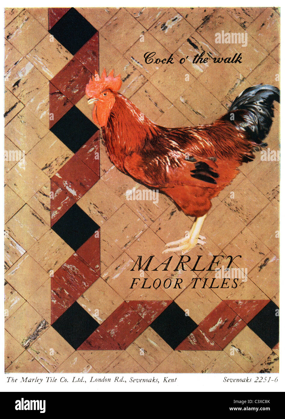 Marley High Resolution Stock Photography and Images - Alamy