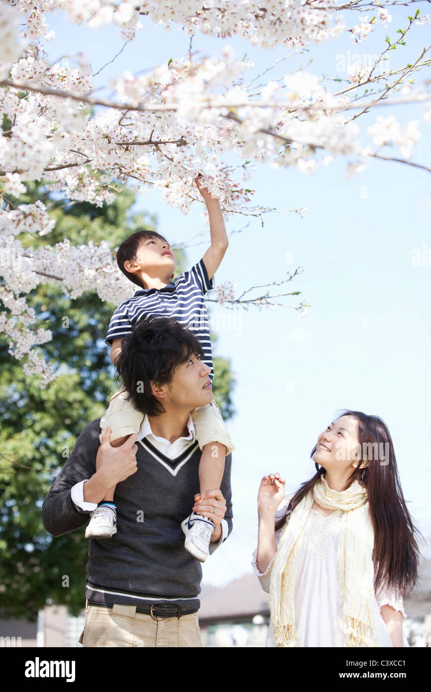 Family of Three Below Cherry Blossom Tree Stock Photo - Alamy