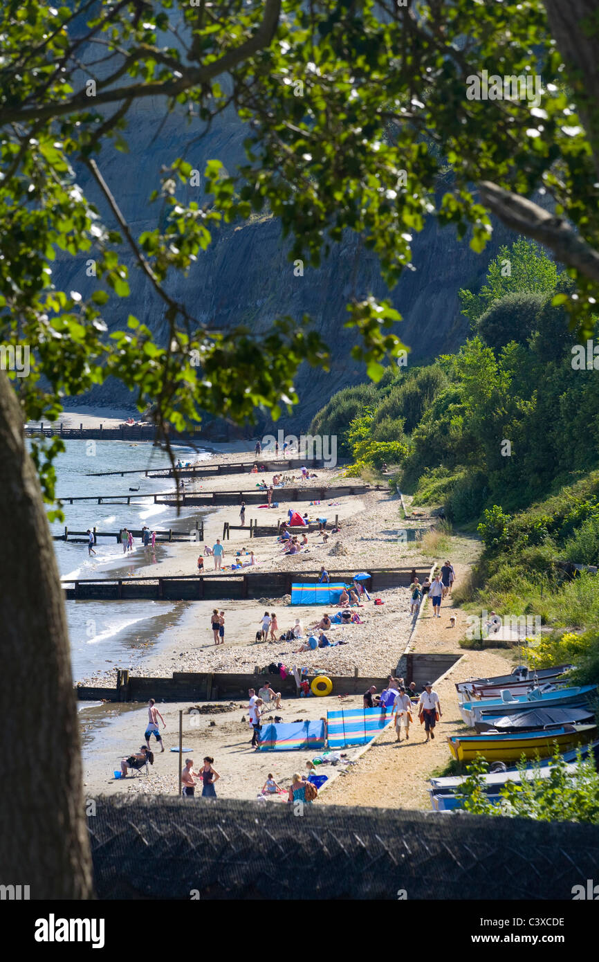 Shanklin beach seafront isle wight hi-res stock photography and images ...