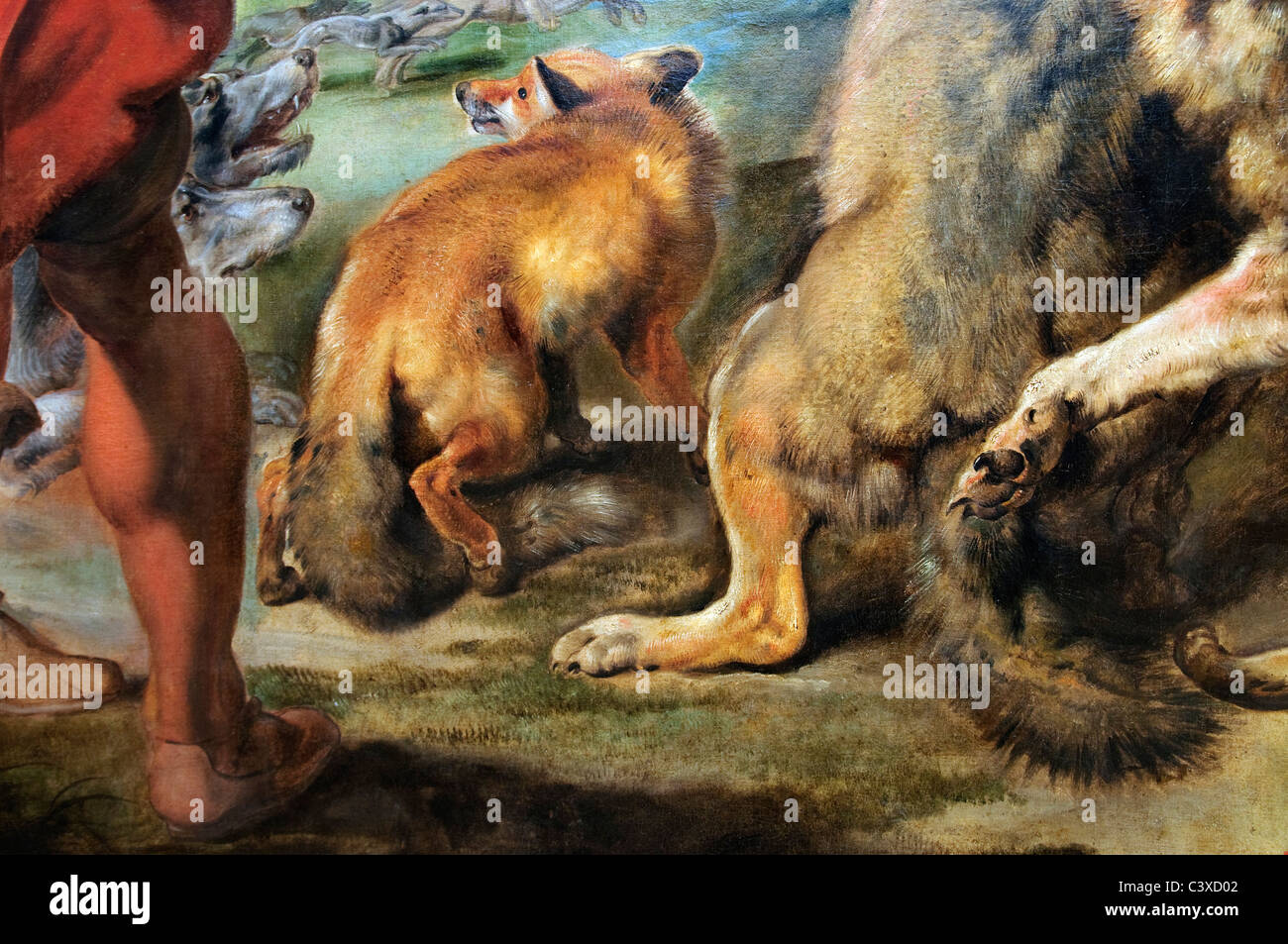 The Wolf And The Fox Stock Photos & The Wolf And The Fox Stock Images ...