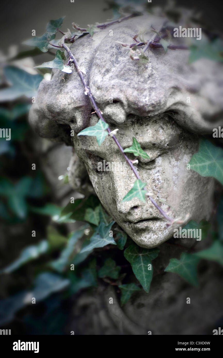 ivy covered stone angel in graveyard Stock Photo - Alamy