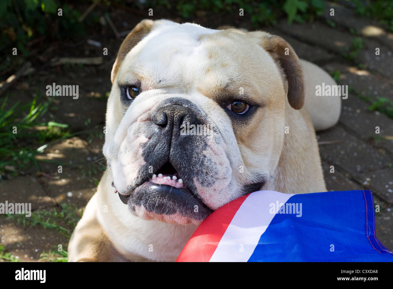 Drooping flags hi-res stock photography and images - Alamy