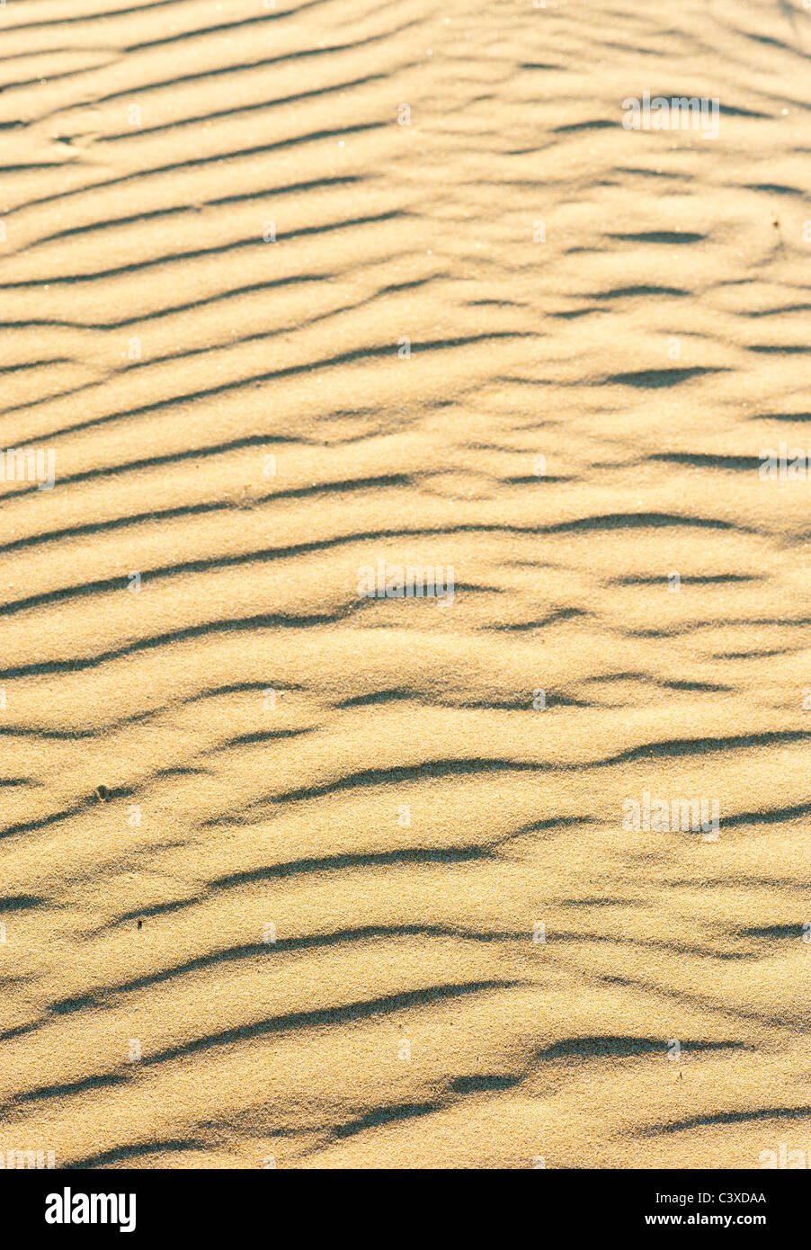 Full frame take of a sandy dune texture Stock Photo - Alamy