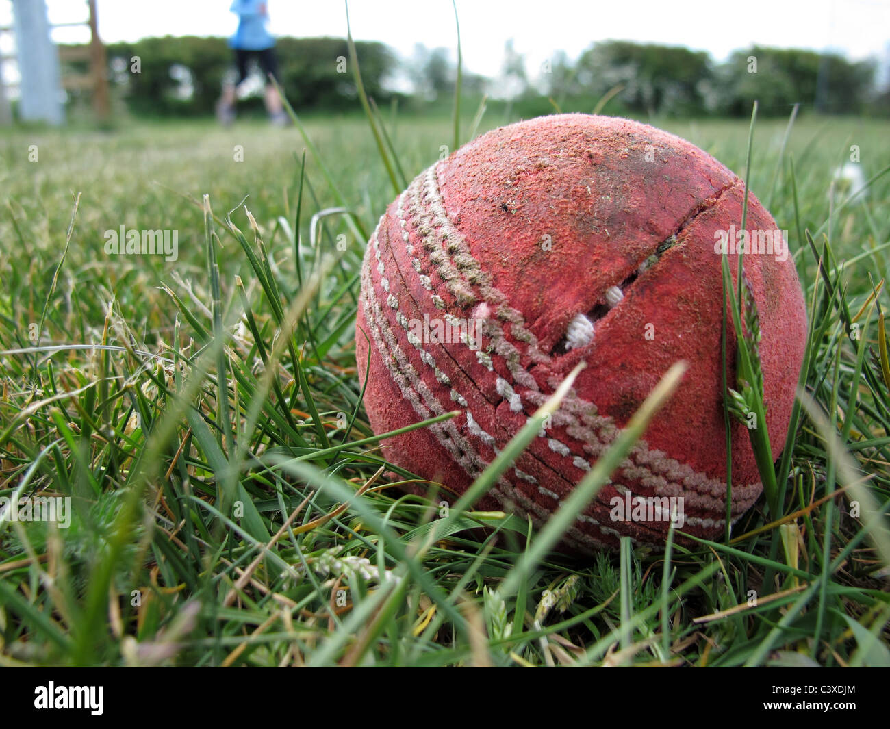 Cricket Ball Inside