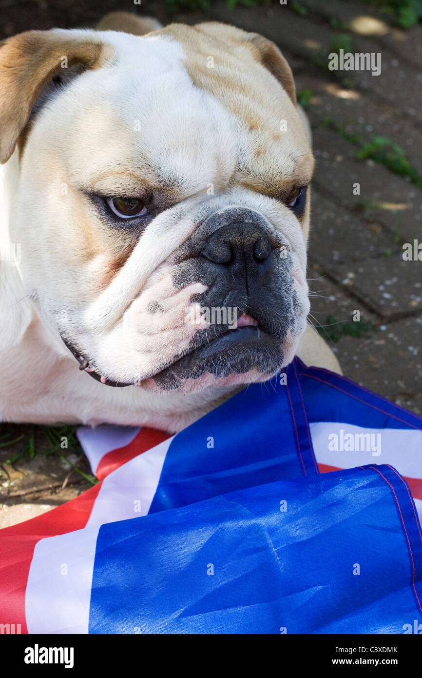 Drooping flags hi-res stock photography and images - Alamy