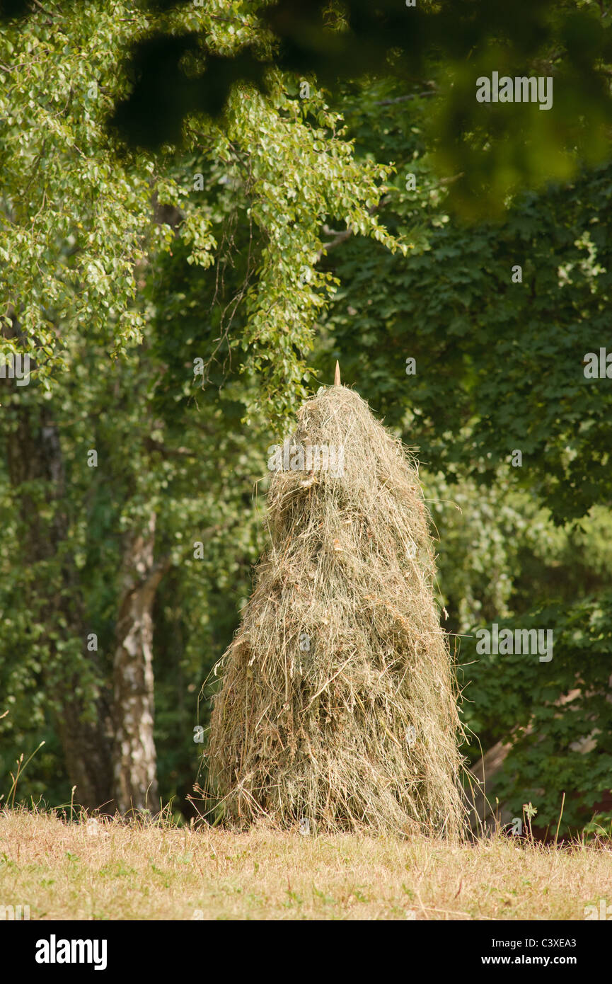Old fashioned hay stack hi-res stock photography and images - Alamy
