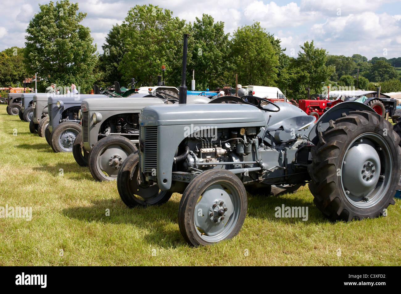 Classic Ferguson tractors on display at a steam and vintage fair. Often ...