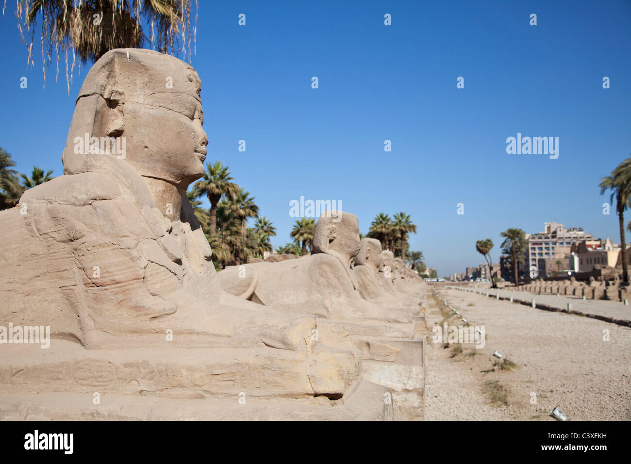 Human headed sphinx hi-res stock photography and images - Alamy