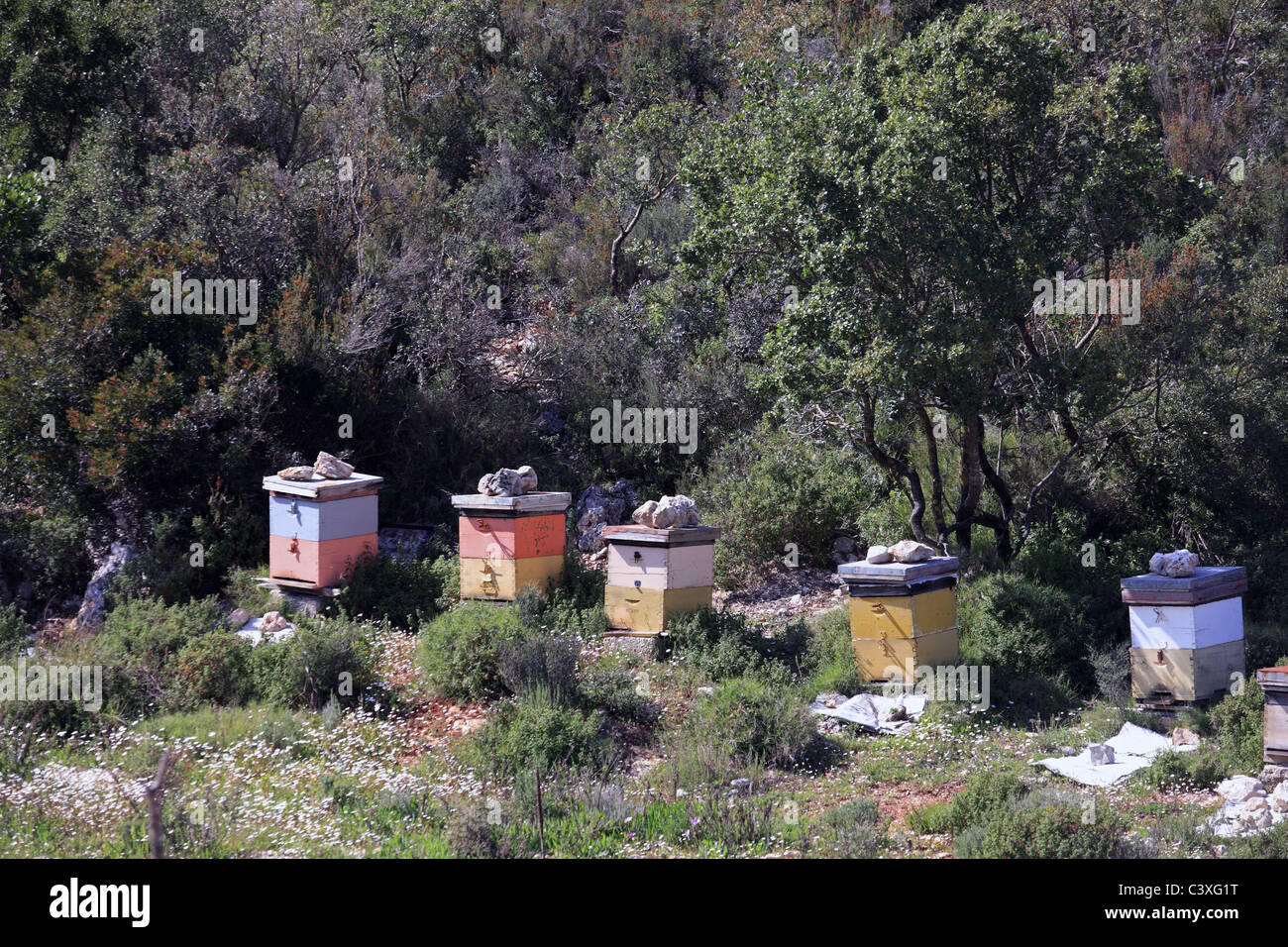 Colourful Bee Hives High Resolution Stock Photography and Images - Alamy
