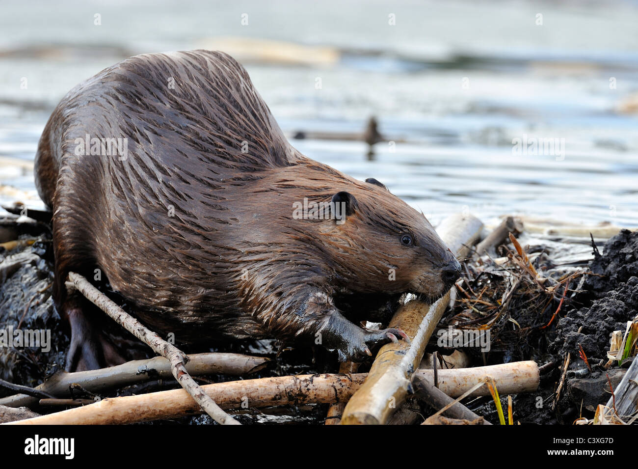 Dam building hi-res stock photography and images - Alamy