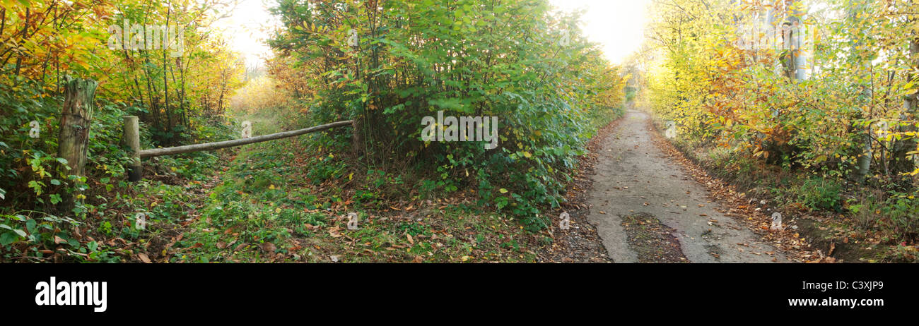 Coppice way hi-res stock photography and images - Alamy