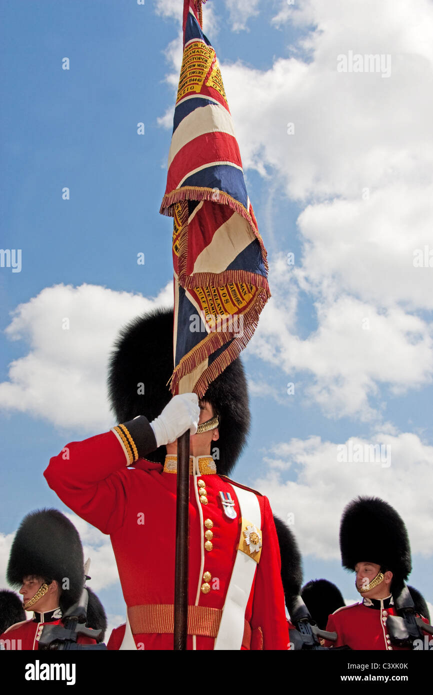 A Scots Guards standard bearer in pictured in portrait format against a ...