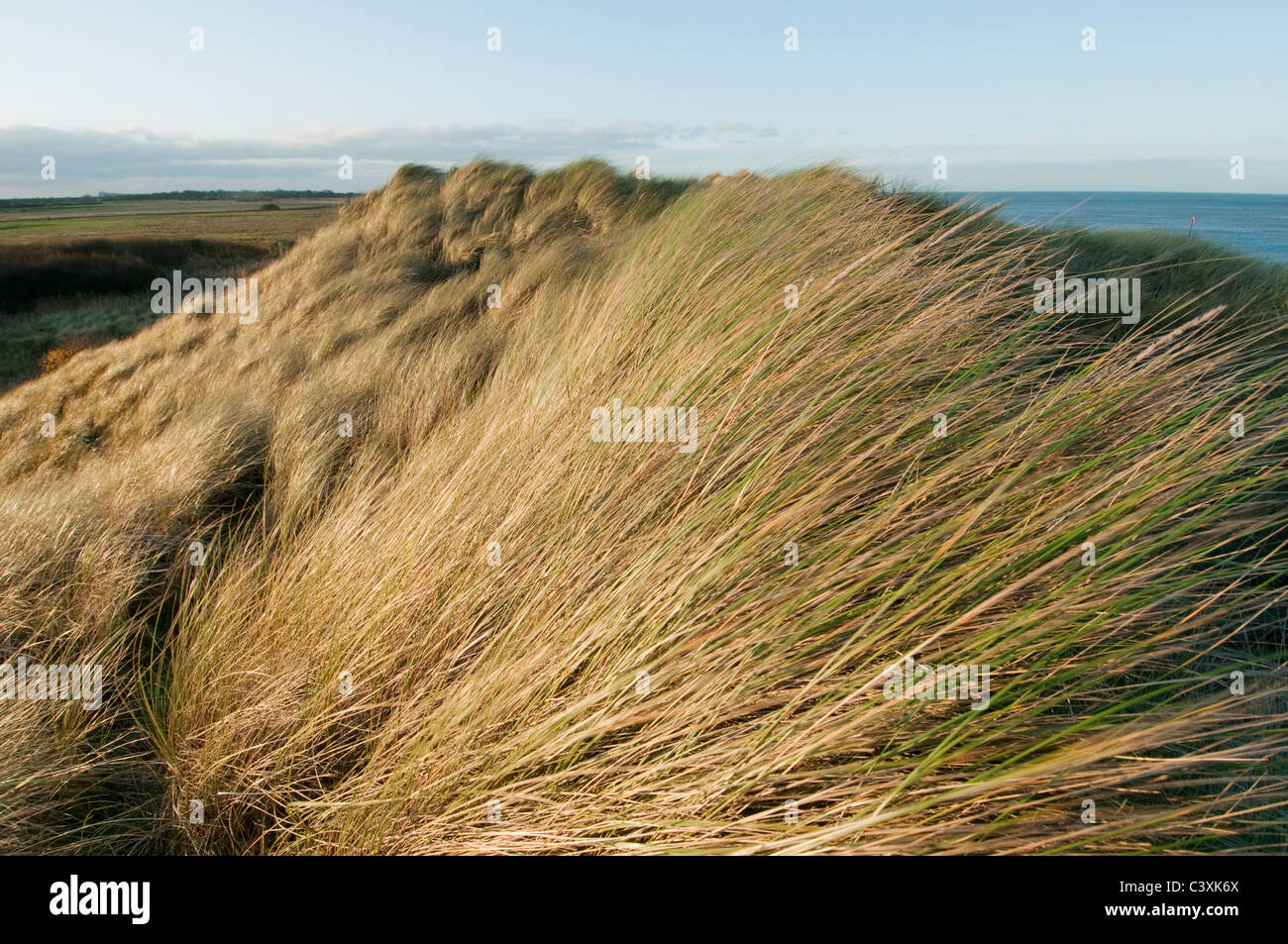 Winterton dunes hi-res stock photography and images - Alamy