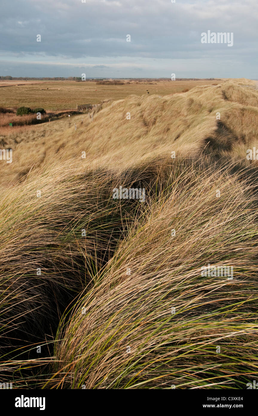 Winterton dunes hi-res stock photography and images - Alamy
