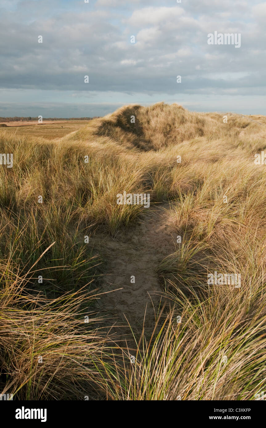 Winterton dunes hi-res stock photography and images - Alamy