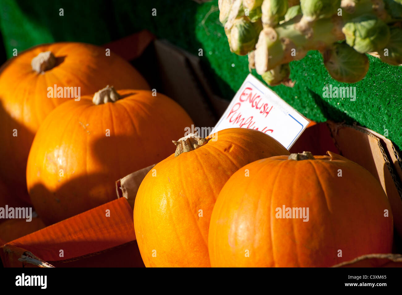 English squash hi-res stock photography and images - Alamy