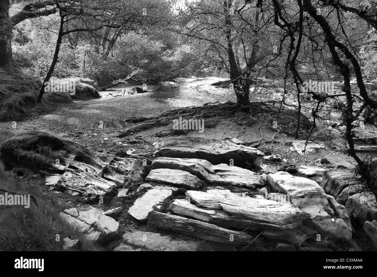 River bed bank Black and White Stock Photos & Images - Alamy