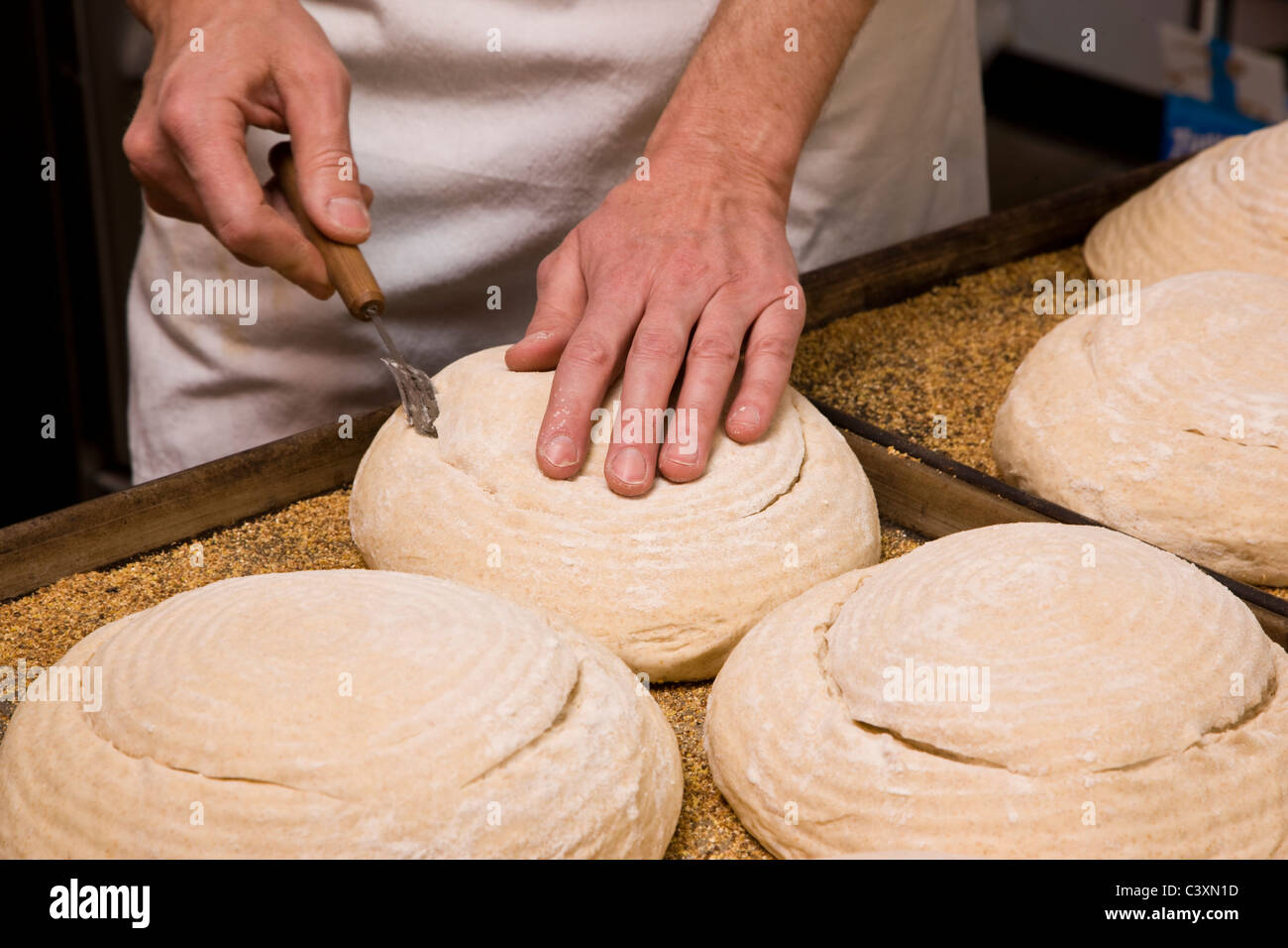 Professional cook preparing fresh bread in a commercial bakery Stock ...