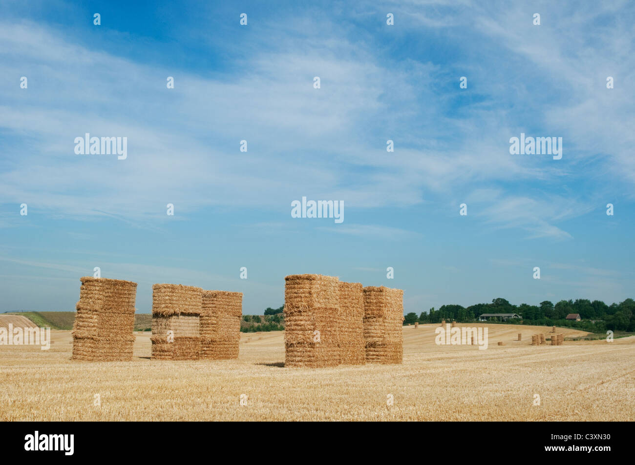 Rectangle bales of hay hi-res stock photography and images - Alamy