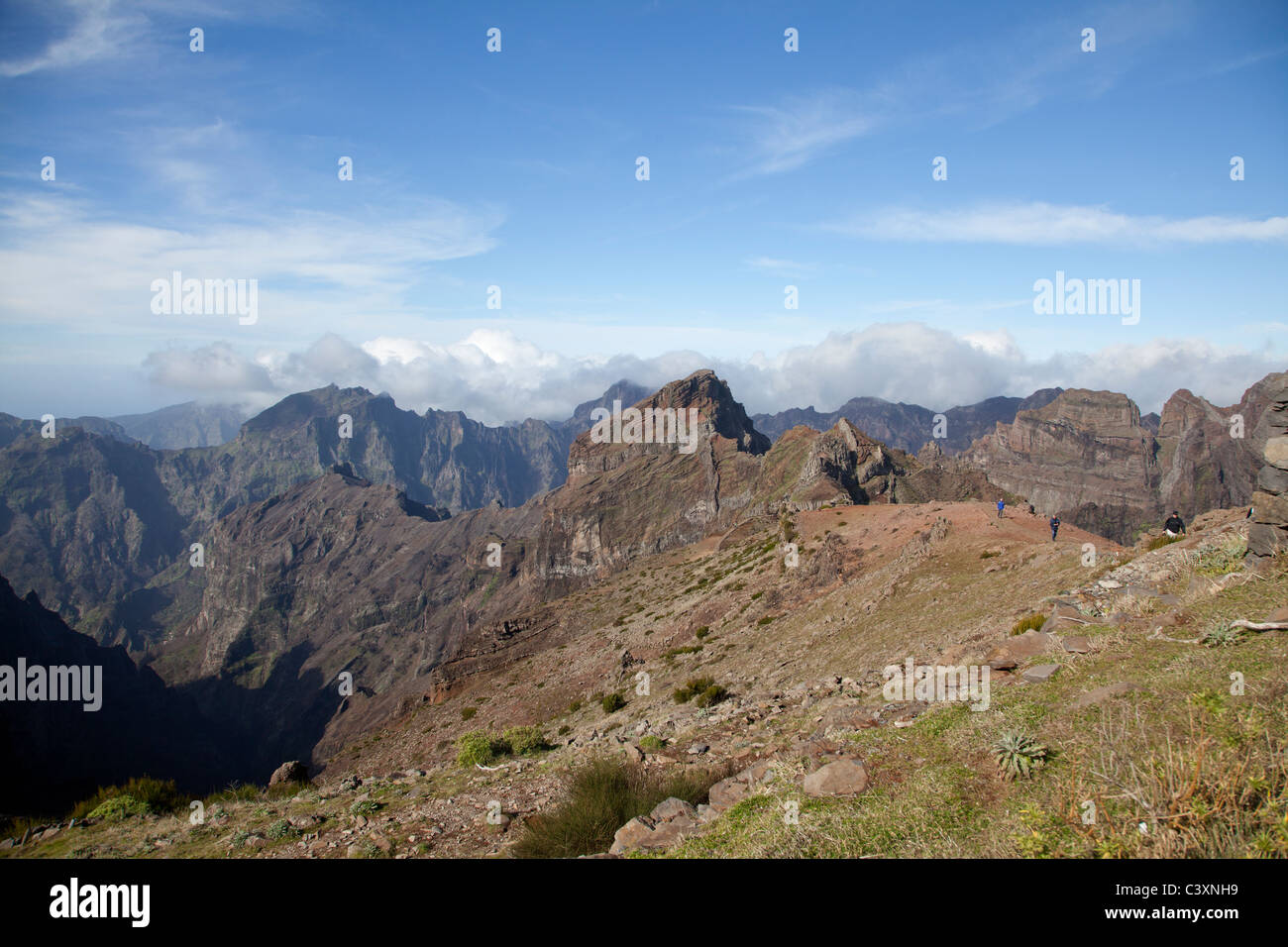 Pr1 High Resolution Stock Photography and Images - Alamy