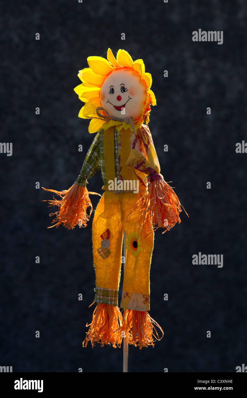 Sunflower Scarecrow High Resolution Stock Photography and Images - Alamy