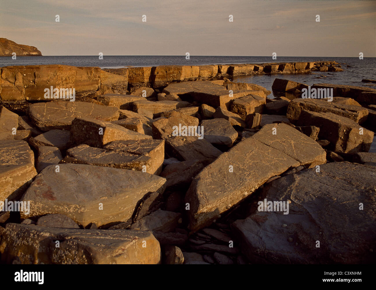 Wave-cut platform at Kimmeridge, Dorset, UK Stock Photo - Alamy