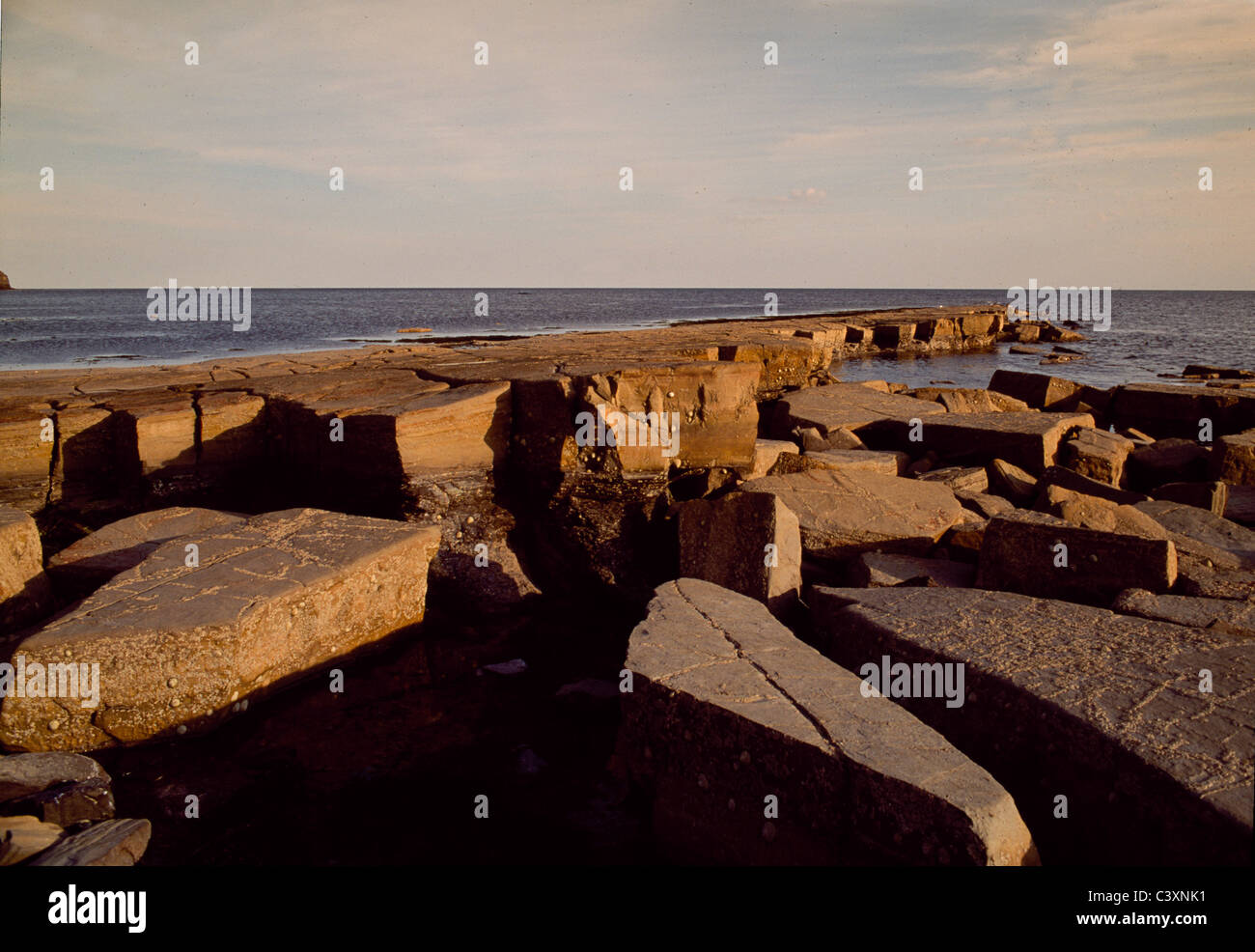 Wave-cut platform at Kimmeridge Bay, Dorset, UK Stock Photo - Alamy