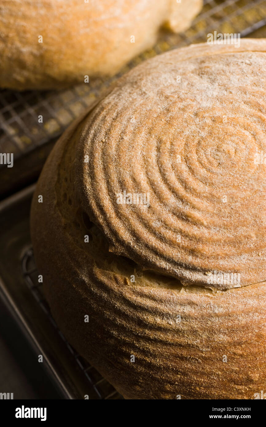 Whole grain bread nutrition commercial hi-res stock photography and ...