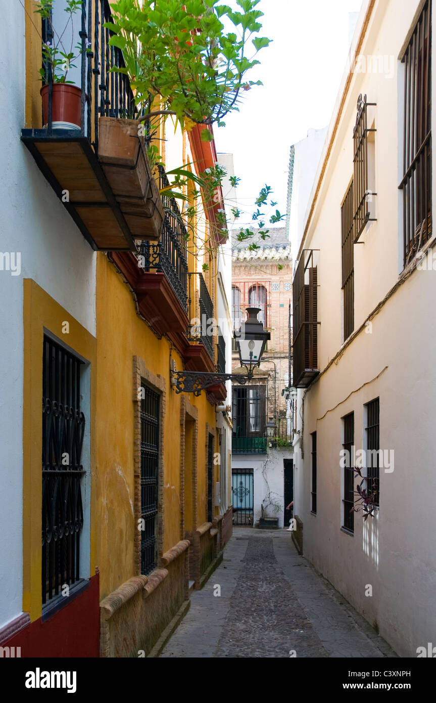 Typical narrow alley with painted buildings in Seville, Spain Stock ...