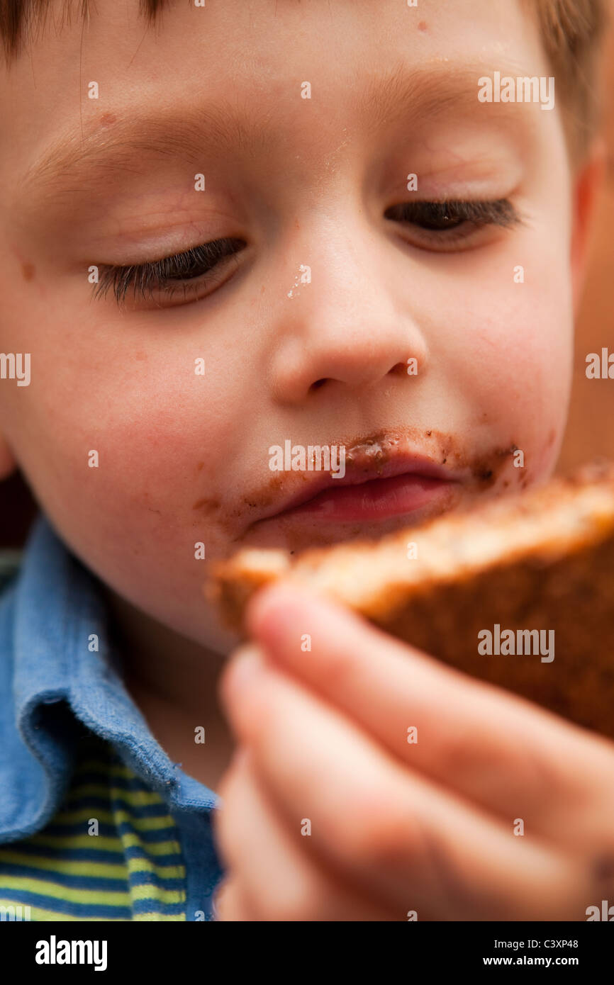 Young boy closely examining his biscuit Stock Photo - Alamy