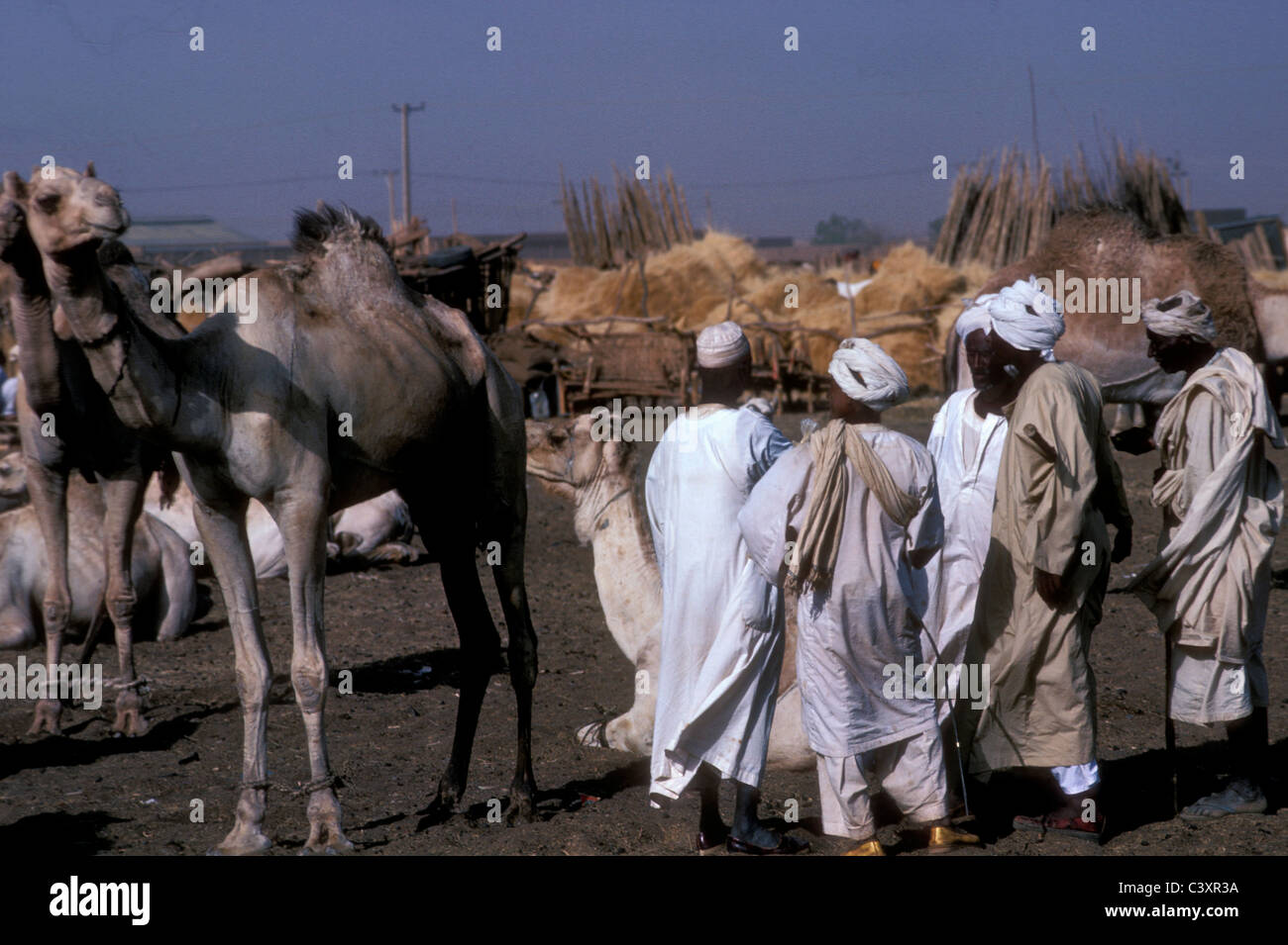 Arab Traders Stock Photos & Arab Traders Stock Images - Alamy